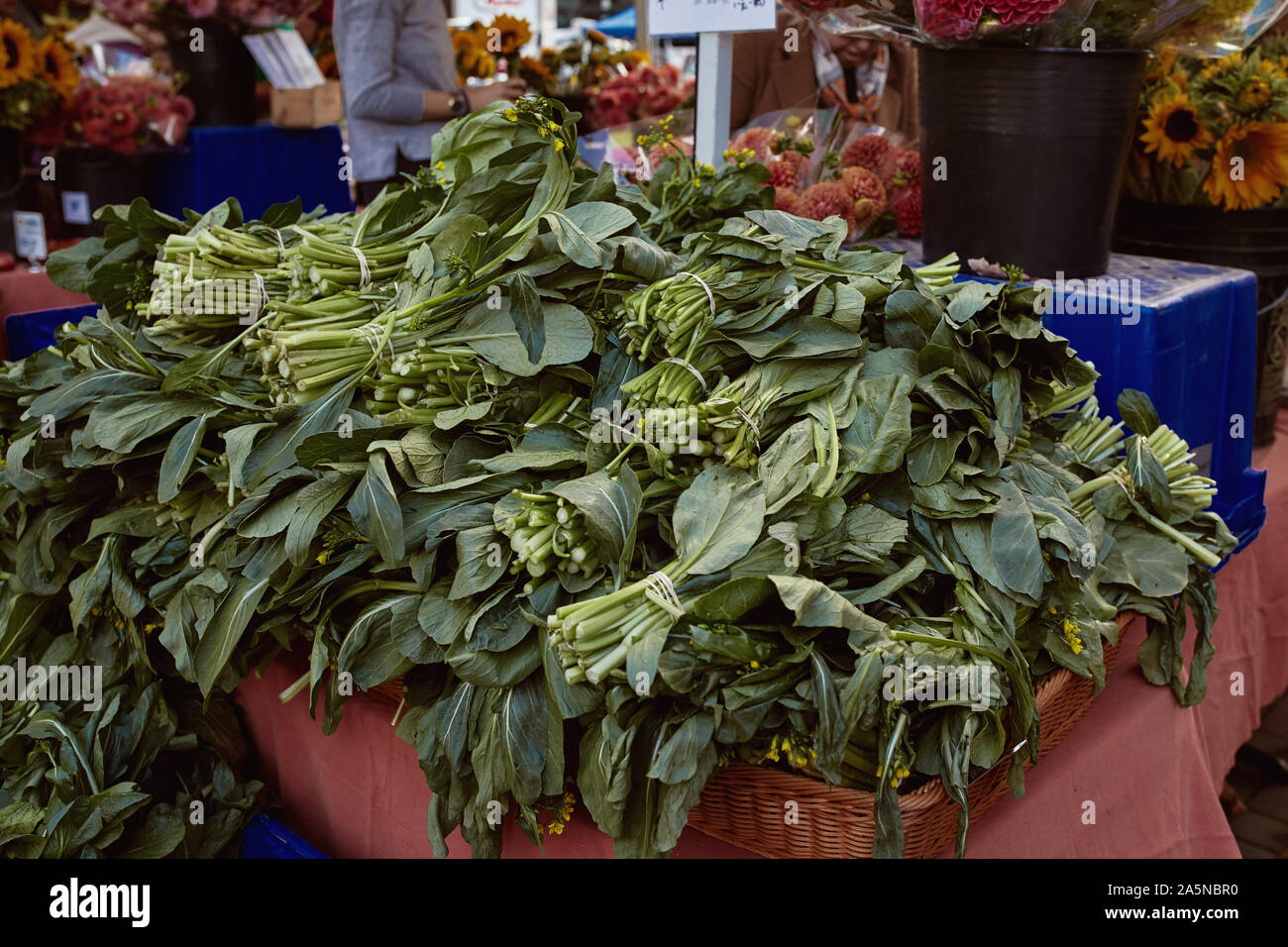 Chinese Broccoli for sale at a farmers market in Copley Square, Boston ...