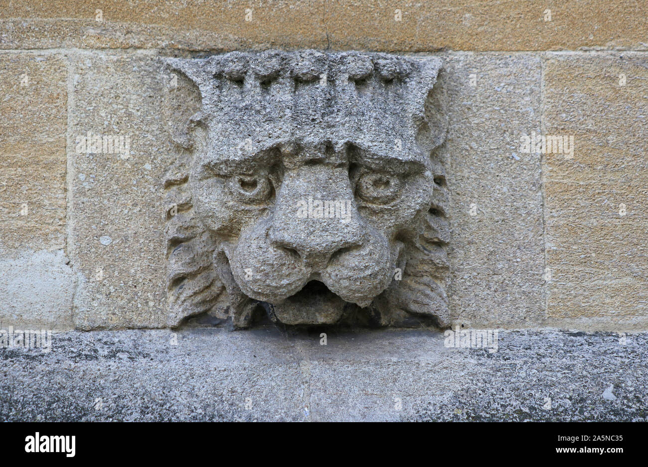 A weather worn or weather-beaten stone gargoyle of a lion on the wall ...