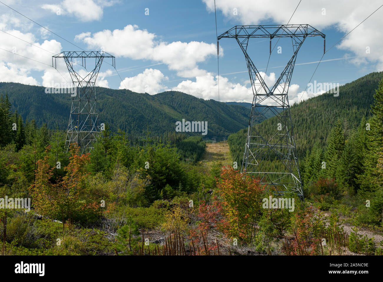 High-voltage (presumably 230 KV) power lines at the edge of the Ollalie ...