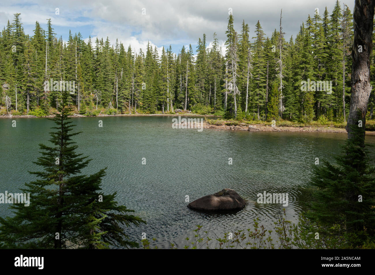 Wall Lake, on the Red Lake Trail #719 in the Olallie Lake Scenic Area ...