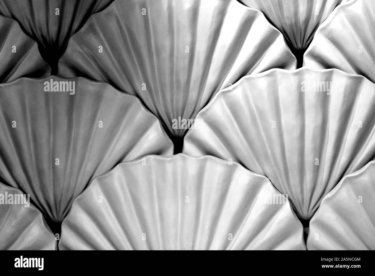 Photo macro background gray texture of the relief of sea shells Stock ...