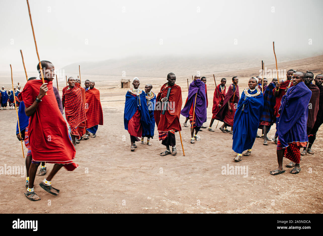Serengeti n hi-res stock photography and images - Alamy