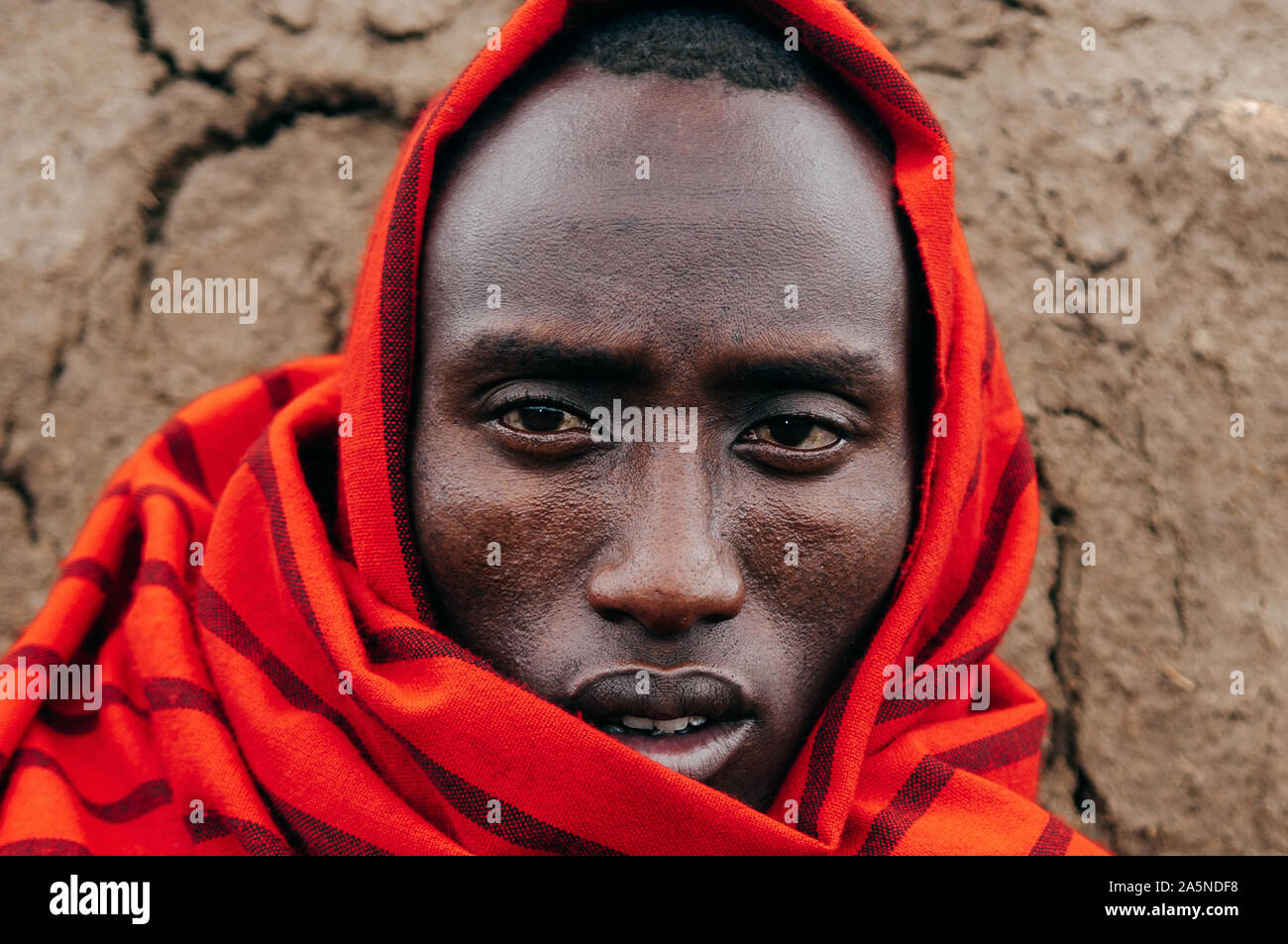 Hunanity hi-res stock photography and images - Alamy