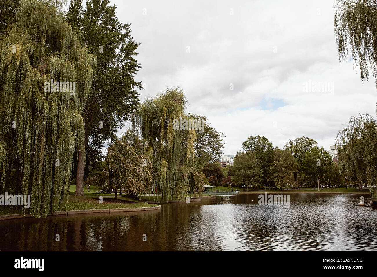 Pond at Boston Public Gardens in the Back Bay neighborhood of Boston ...