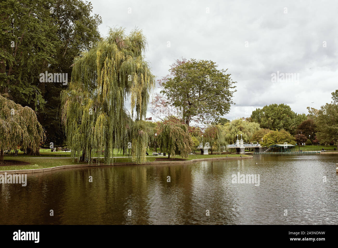 Pond at Boston Public Gardens in the Back Bay neighborhood of Boston ...