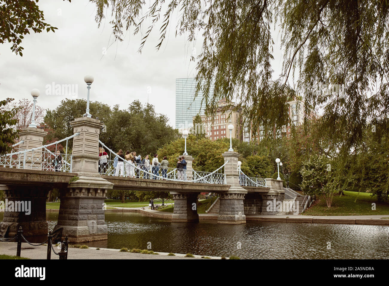 Boston public garden weeping willow trees hi-res stock photography and ...