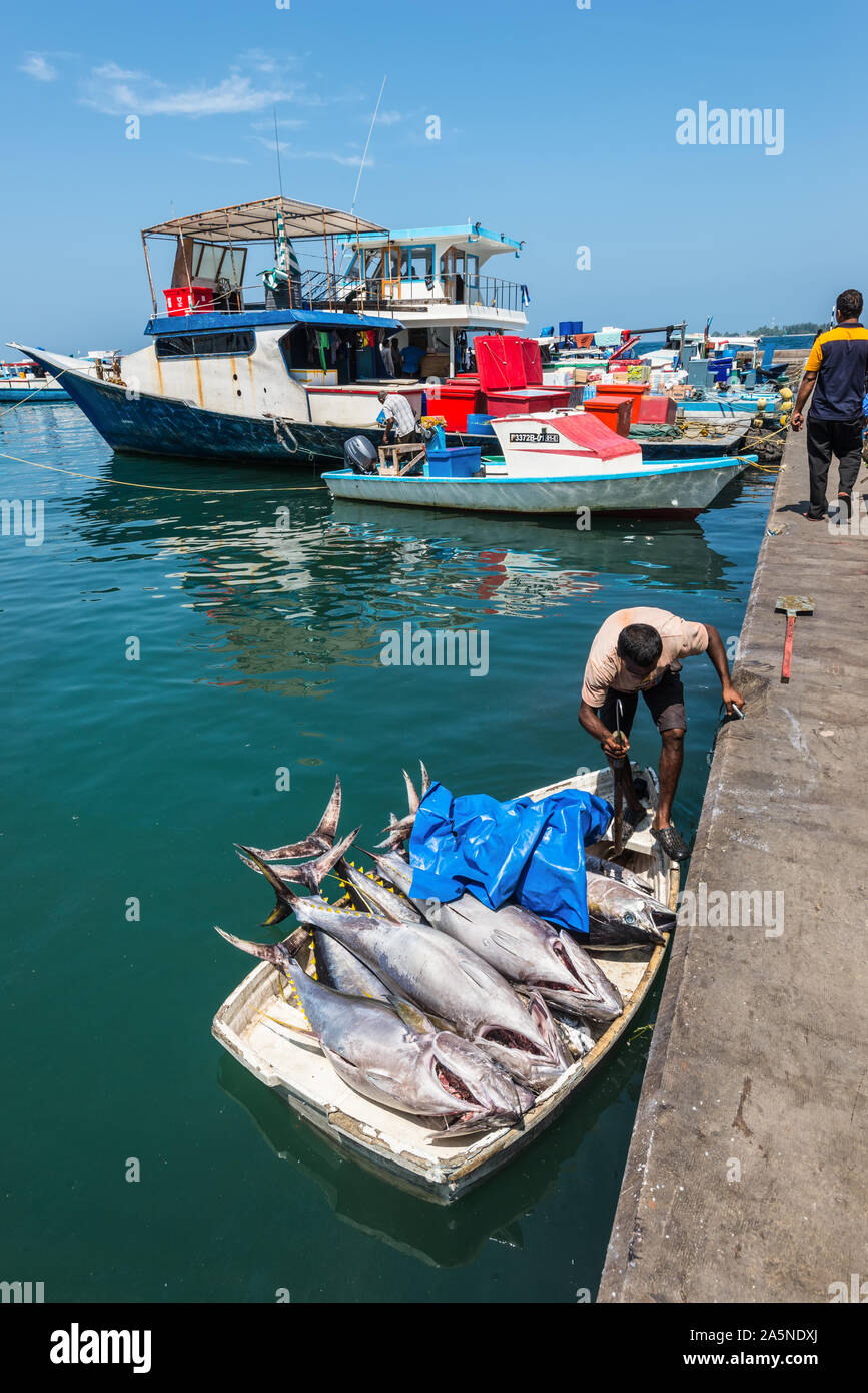 Male, Maldives - November 17, 2017: Area of fresh fish market in Male ...