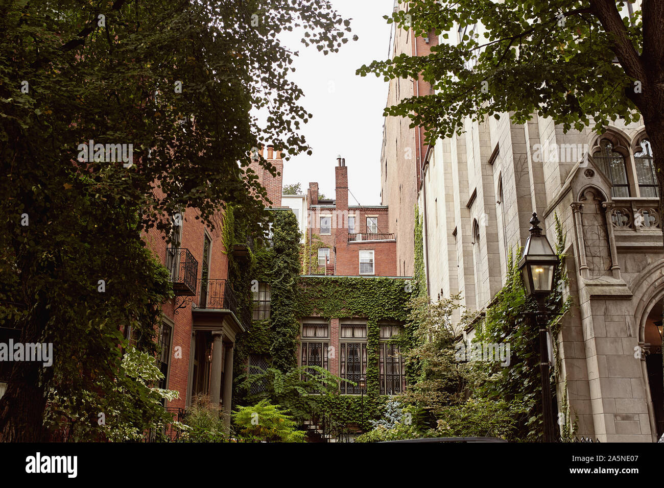 Courtyard with lush, green foliage in the historic Beacon Hill ...
