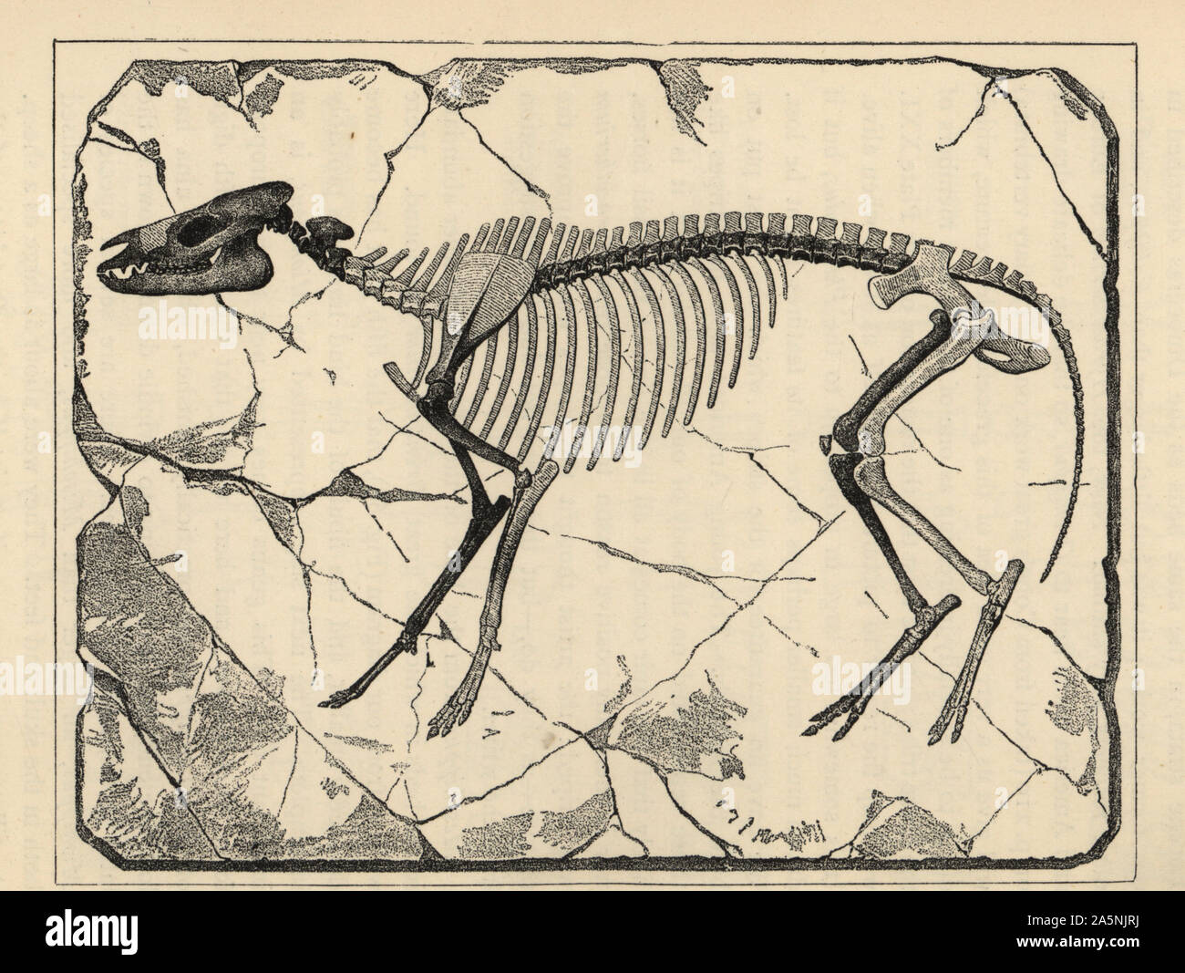 Edward chapman hi-res stock photography and images - Alamy