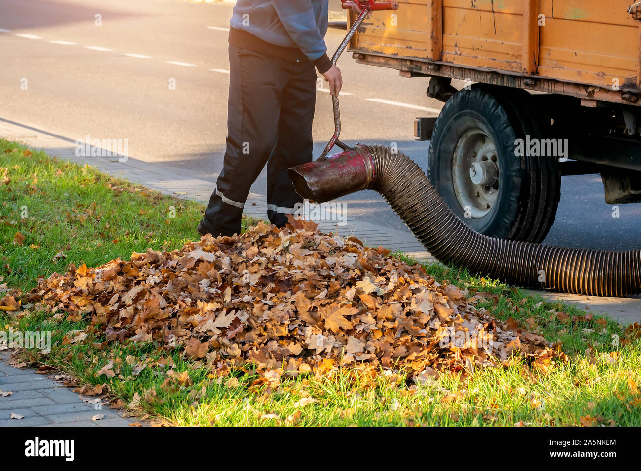 Worker clearing up the leaves using a leaf blower tool Stock Photo - Alamy