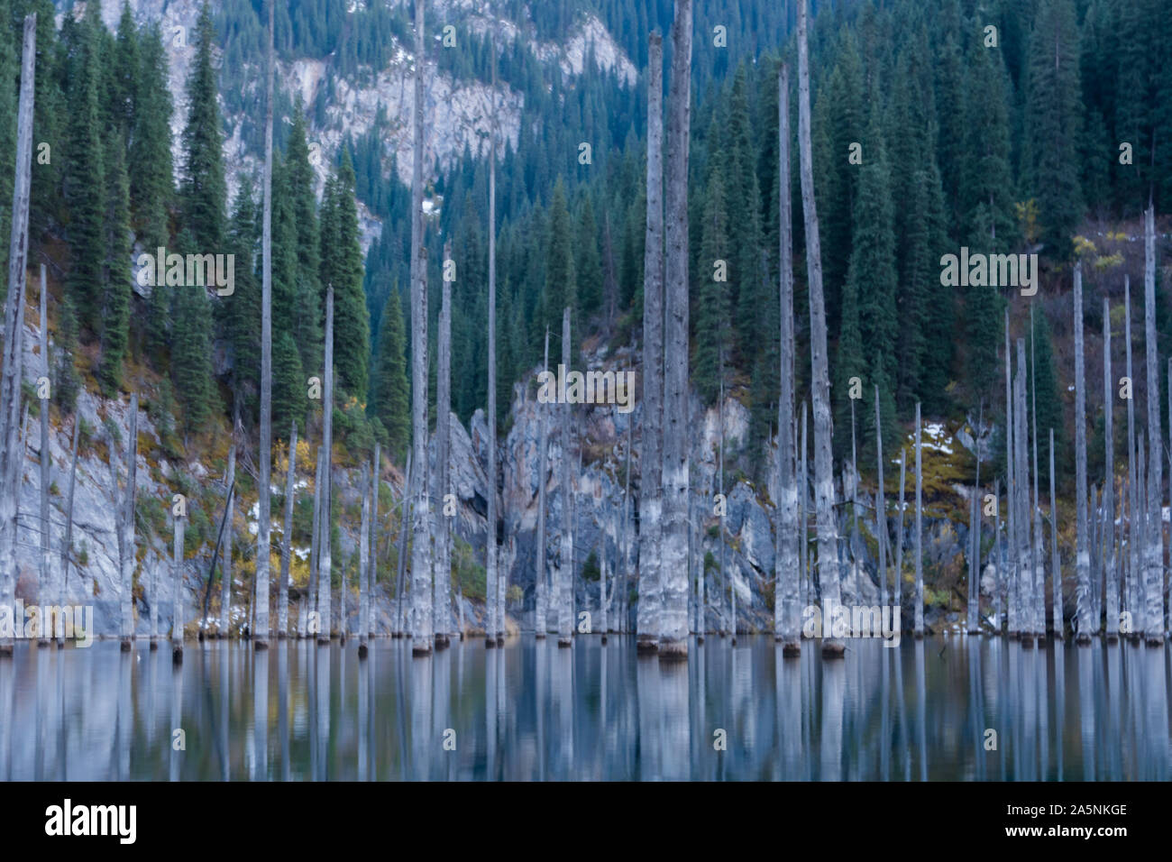 Dead trees in Lake Kaindy, Tien-Shan mountains, Kazakhstan, Central ...