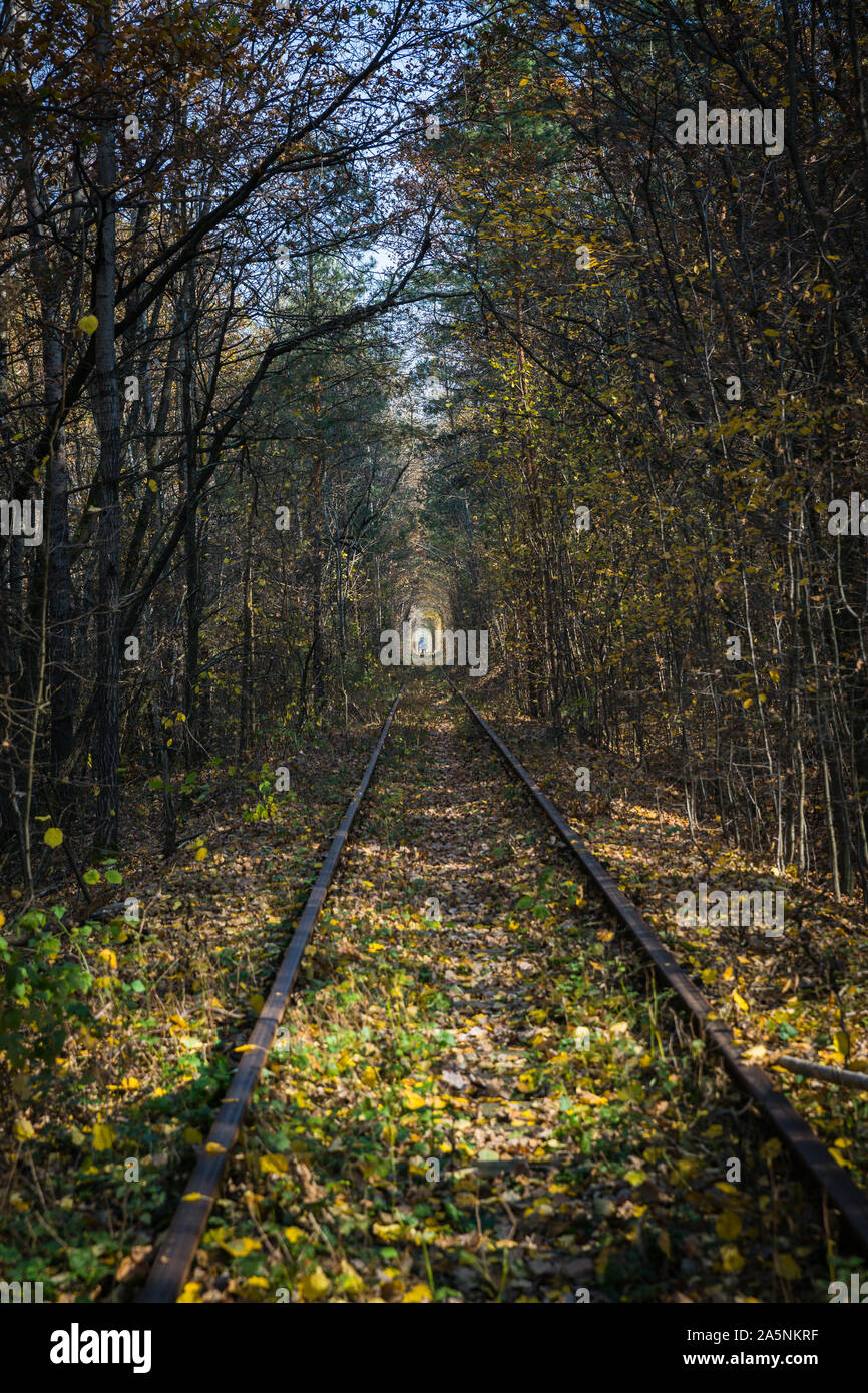 Tunnel of love, klevan, ukraine hi-res stock photography and images - Alamy