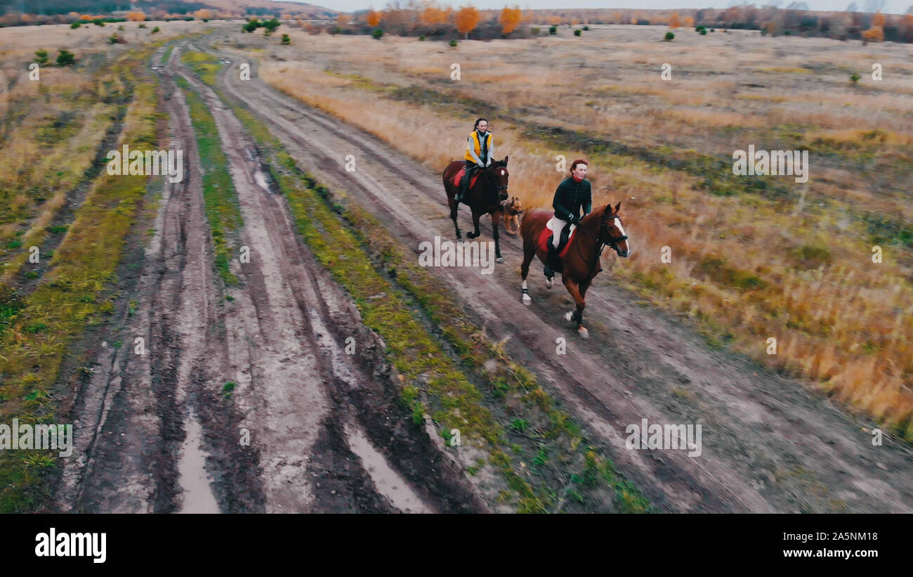 Aerial view of horses galloping hi-res stock photography and images - Alamy
