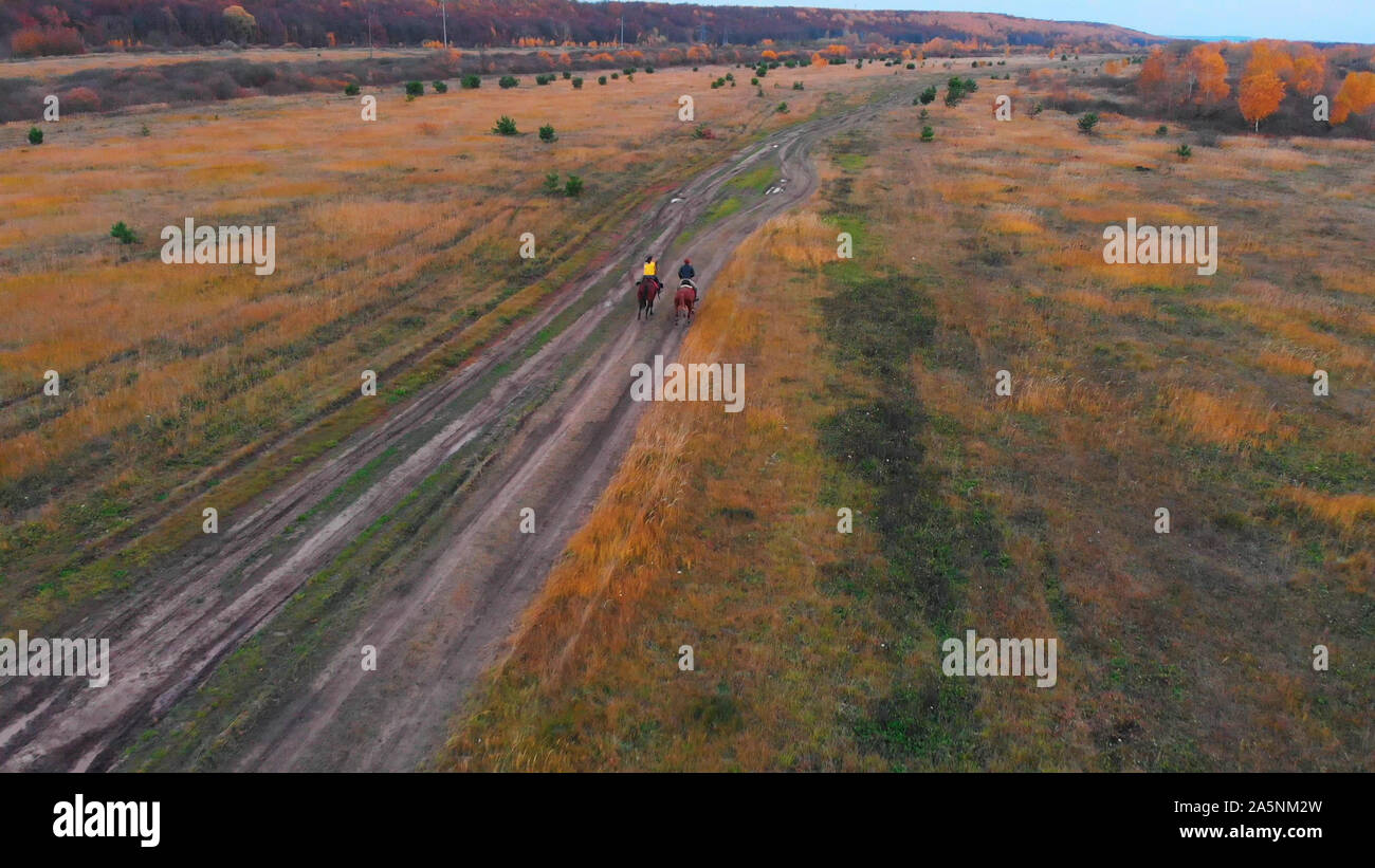 Two women are galloping horses on the field - aerial view Stock Photo ...