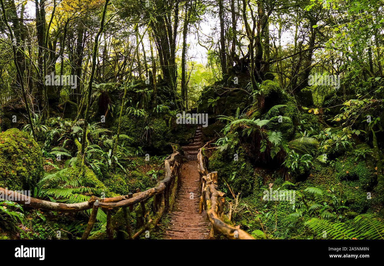 Scowle hi-res stock photography and images - Alamy