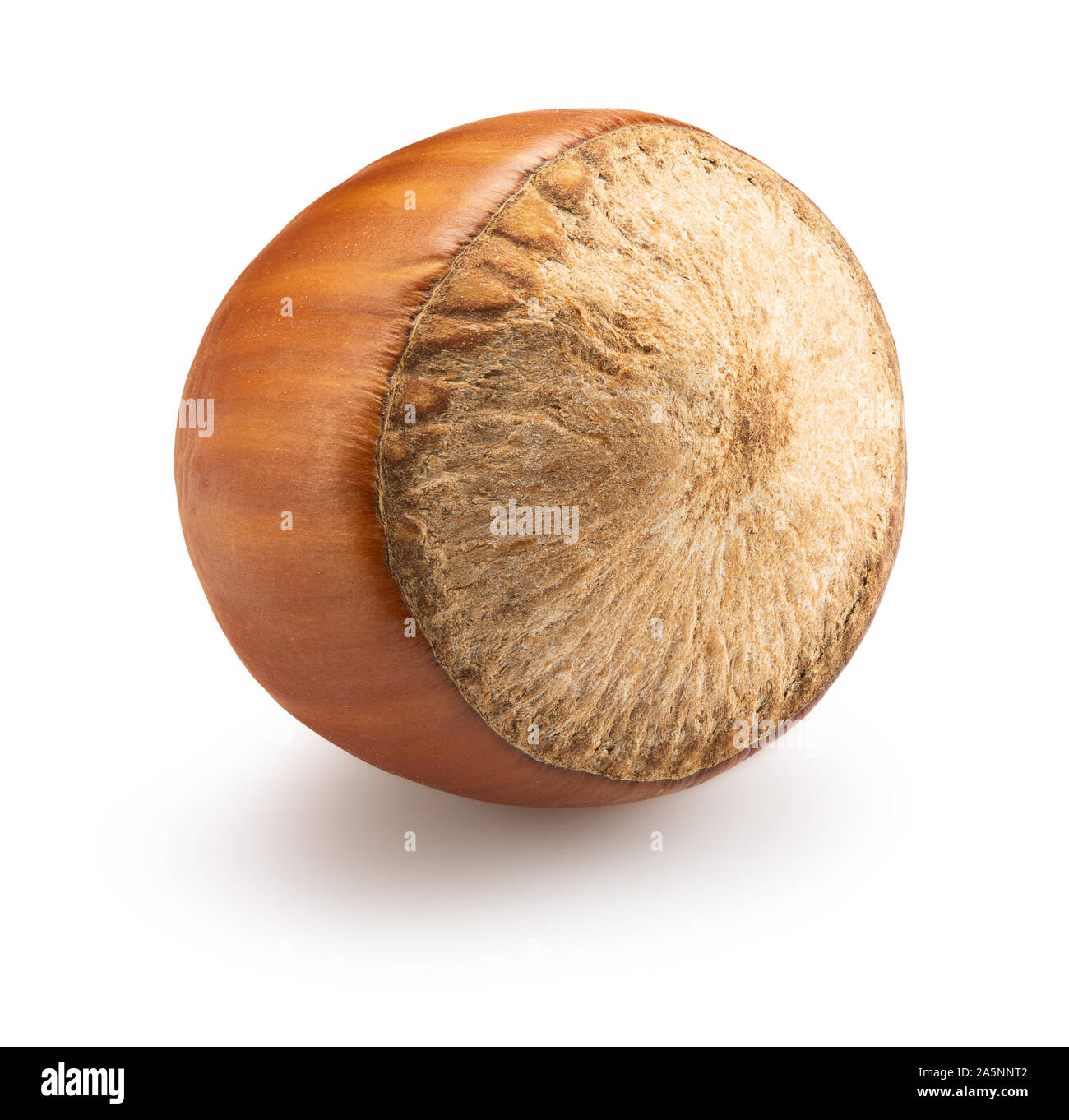 Hazelnut in shell hi-res stock photography and images - Alamy