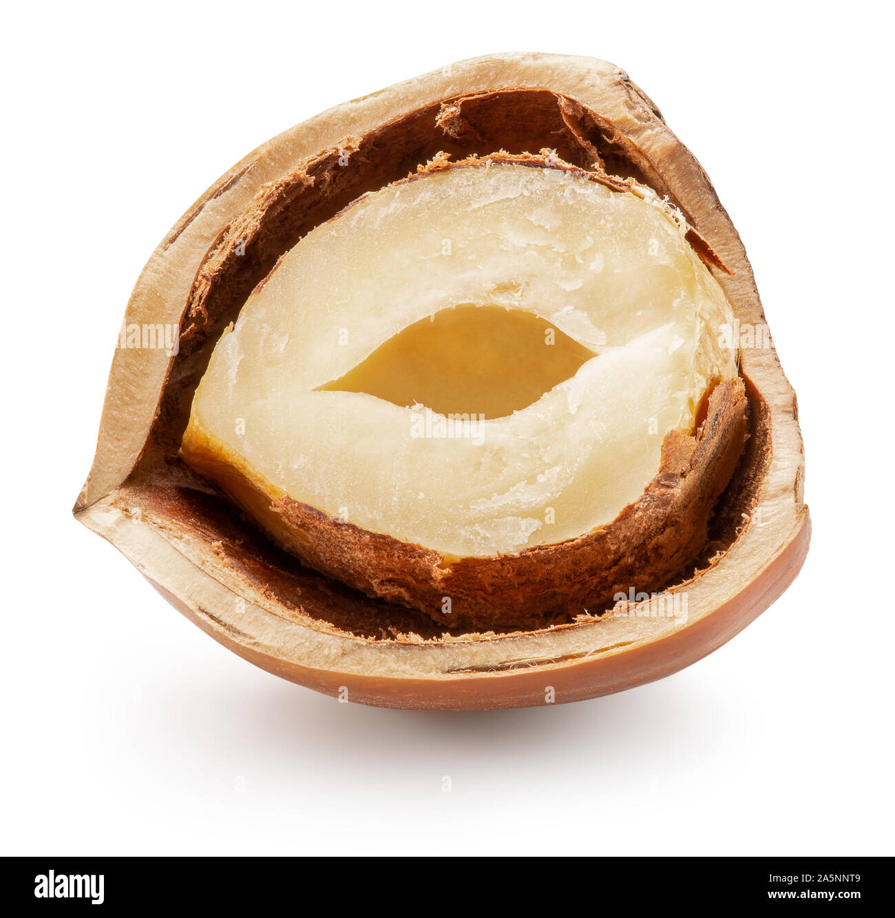 hazelnut in broken shell isolated on a white background Stock Photo - Alamy