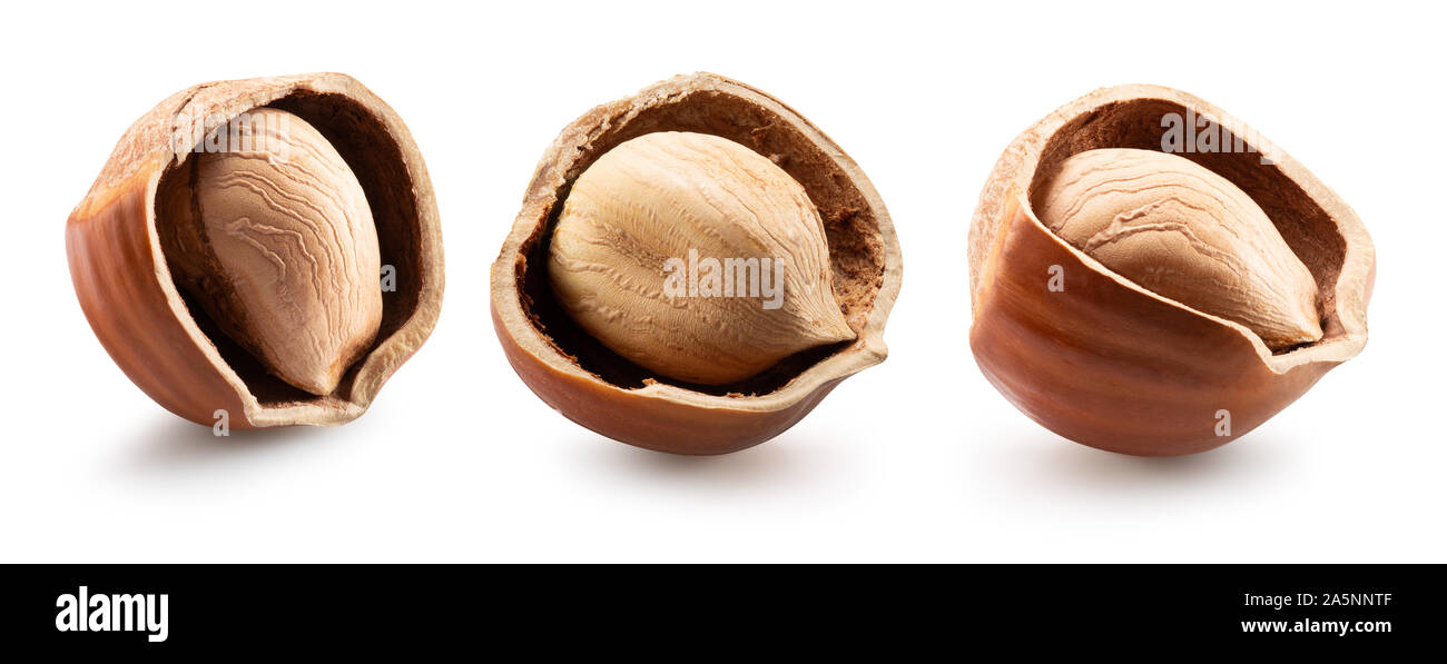 collection of hazelnuts in broken shell isolated on a white background ...