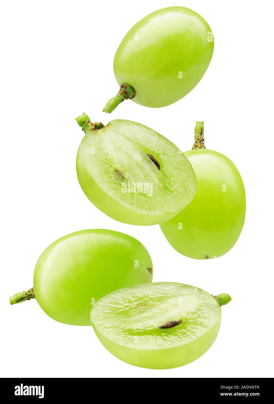 Single Fruits Pictures Grapes