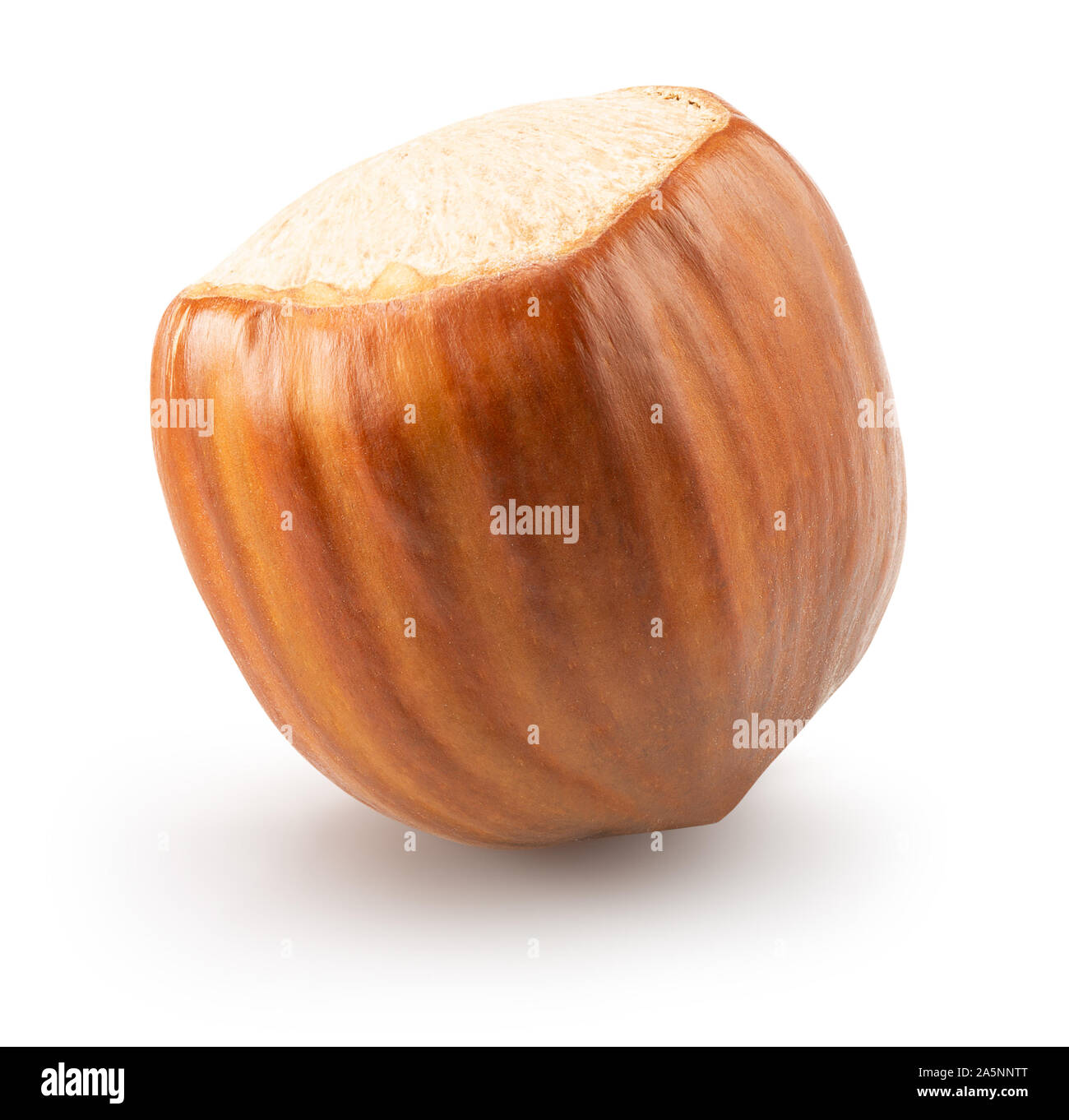 Hazelnut in shell hi-res stock photography and images - Alamy