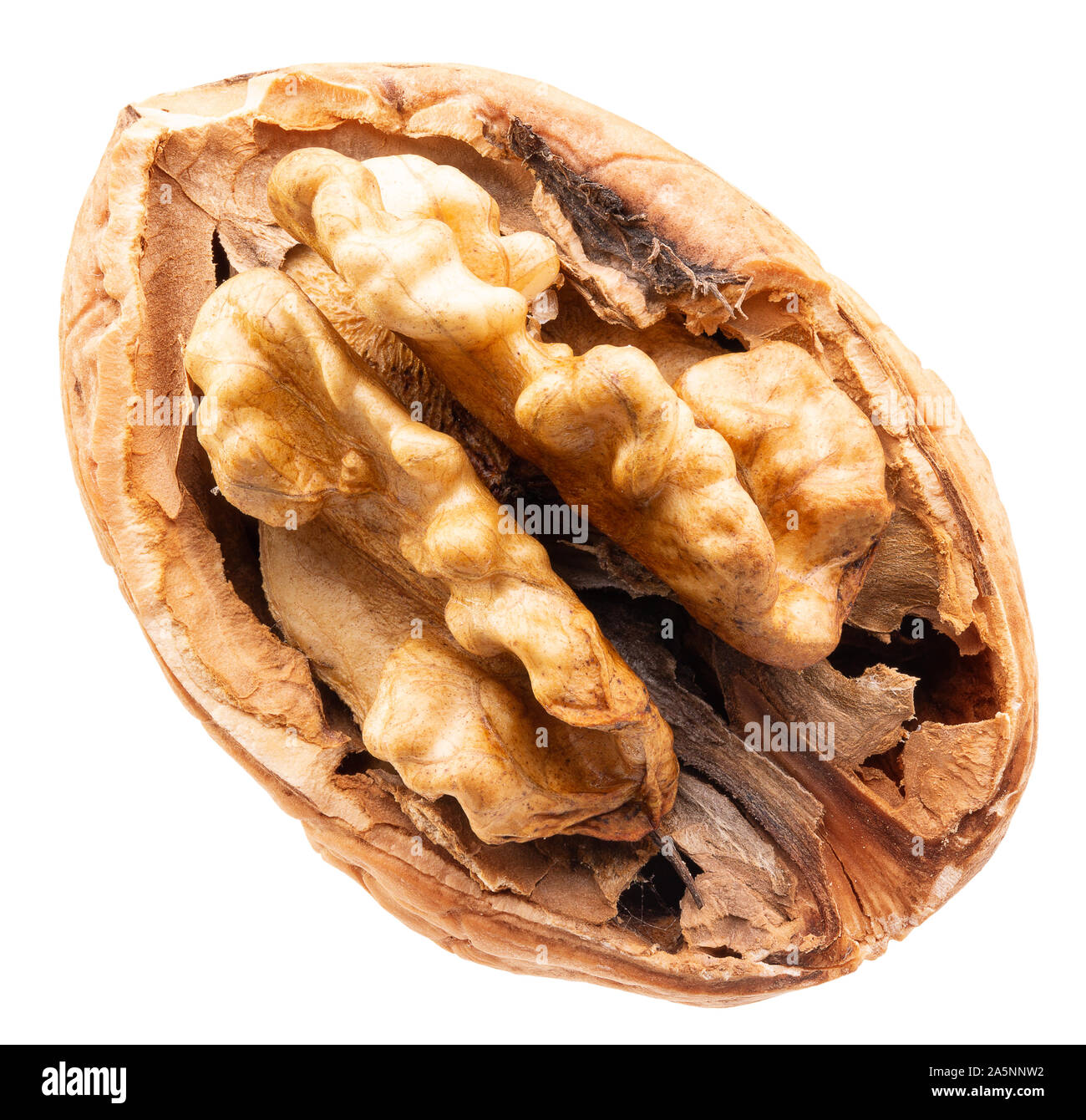 half of walnut in shell isolated on a white background Stock Photo - Alamy