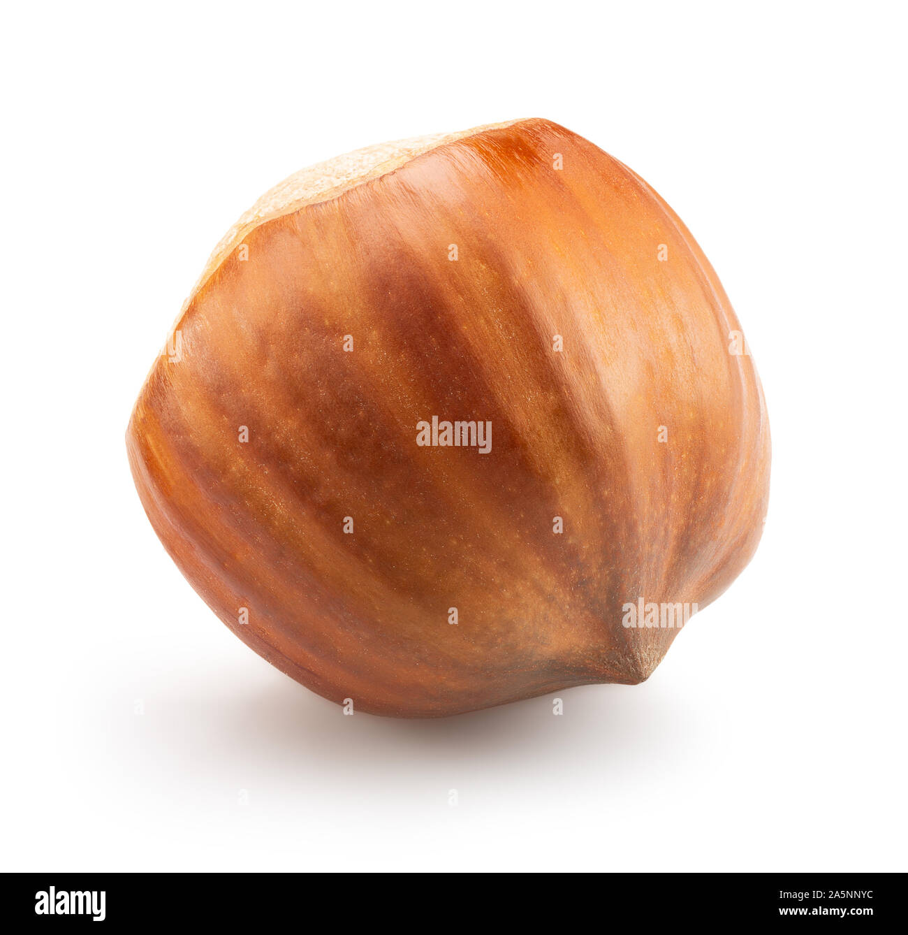 Hazelnut in shell hi-res stock photography and images - Alamy
