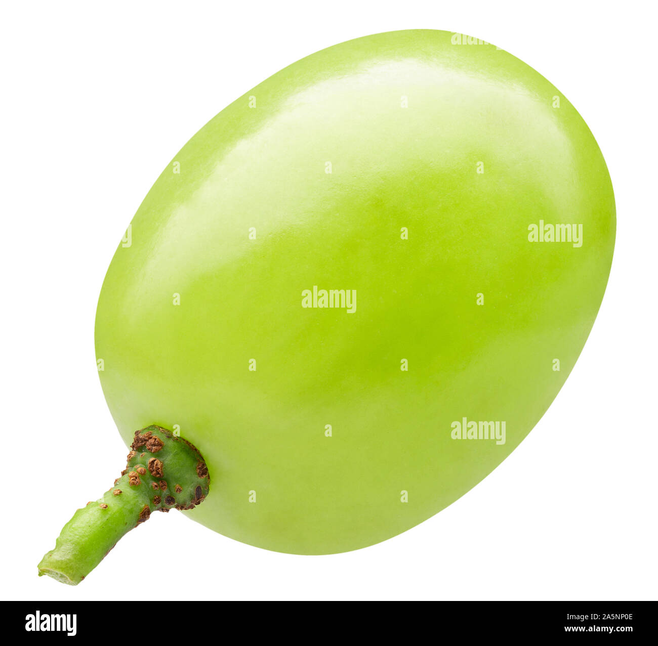 Green single grape hi-res stock photography and images - Alamy