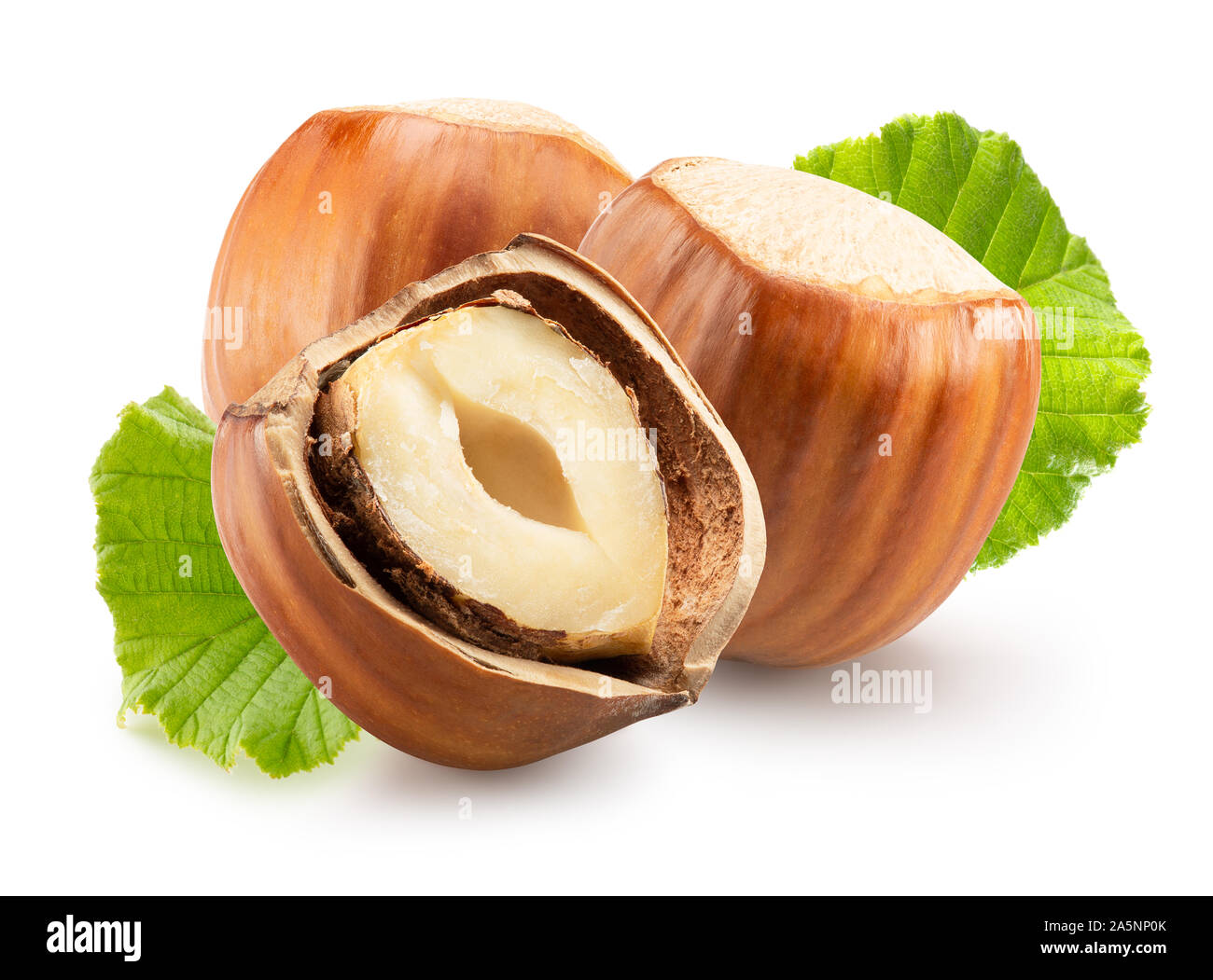 whole hazelnuts with hazelnut in broken shell with leaves isolated on a ...