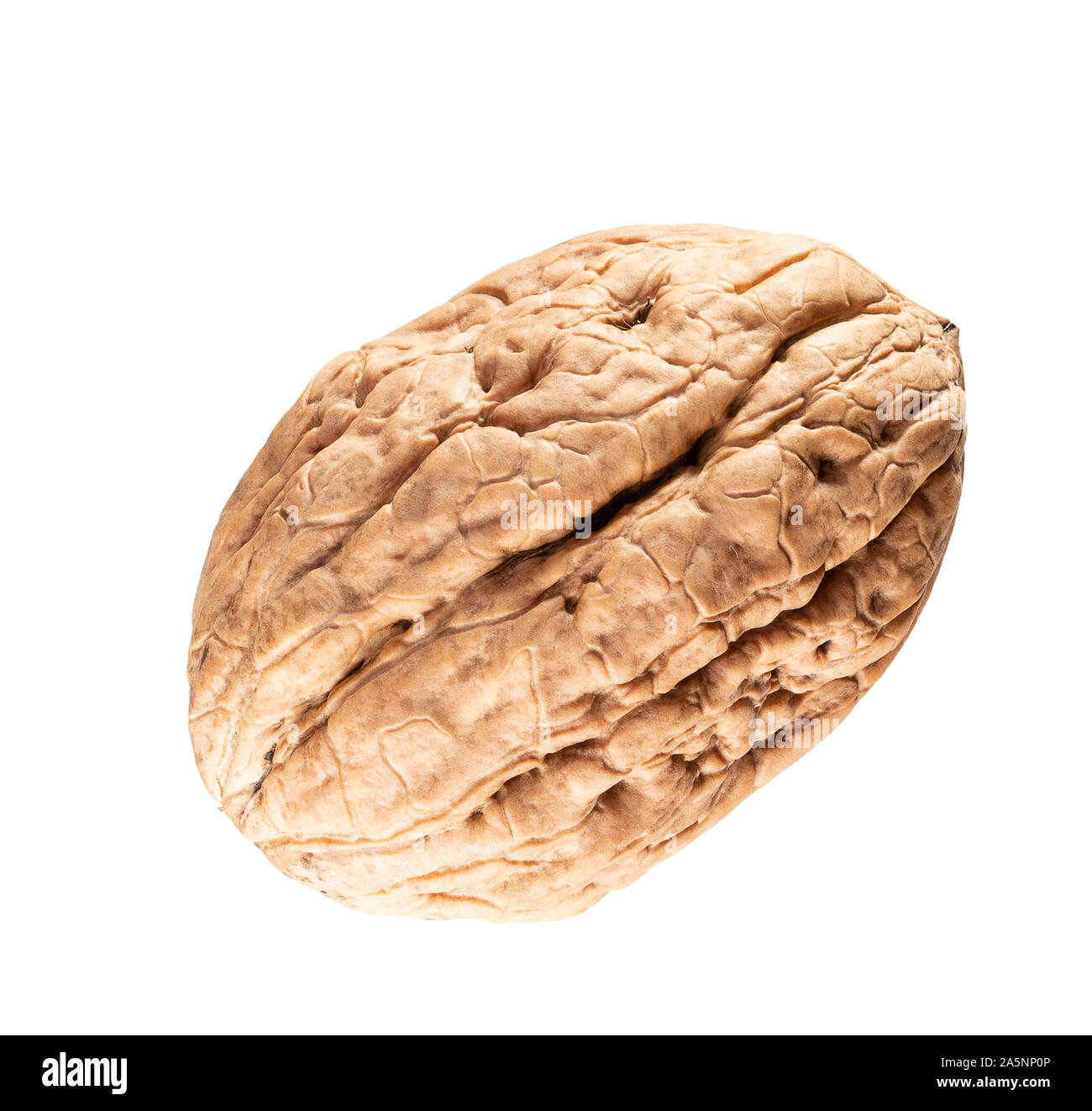 walnut in shell isolated on a white background Stock Photo - Alamy