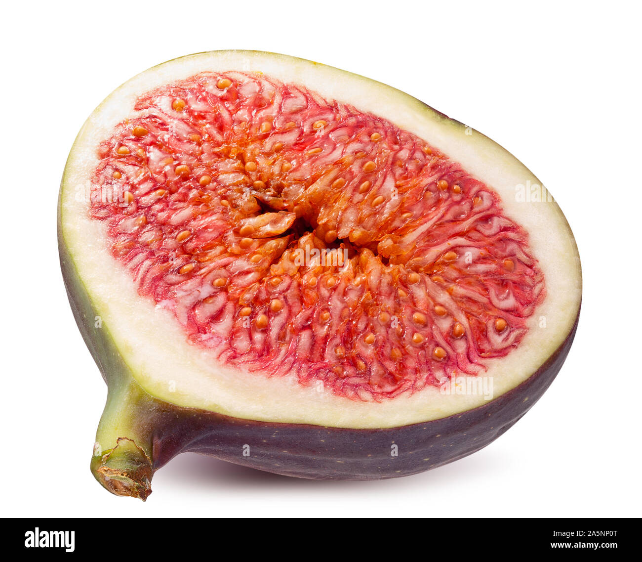 Half of fig hi-res stock photography and images - Alamy