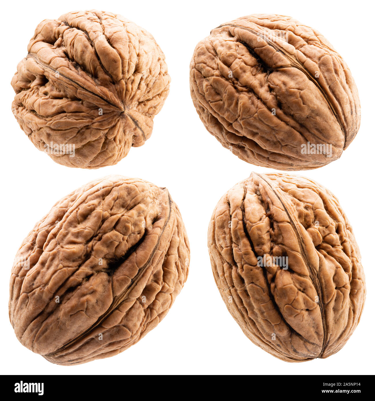 collection of walnuts in shell isolated on a white background Stock ...