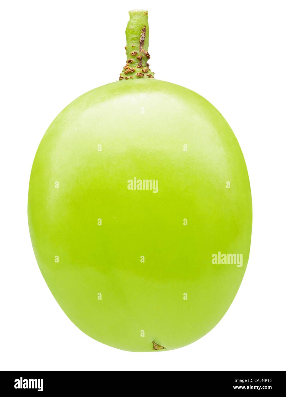 Single Green Grape