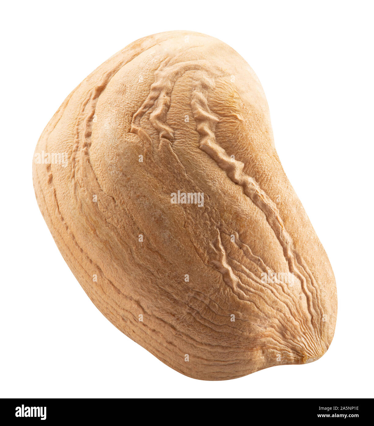 With and without shell hi-res stock photography and images - Alamy