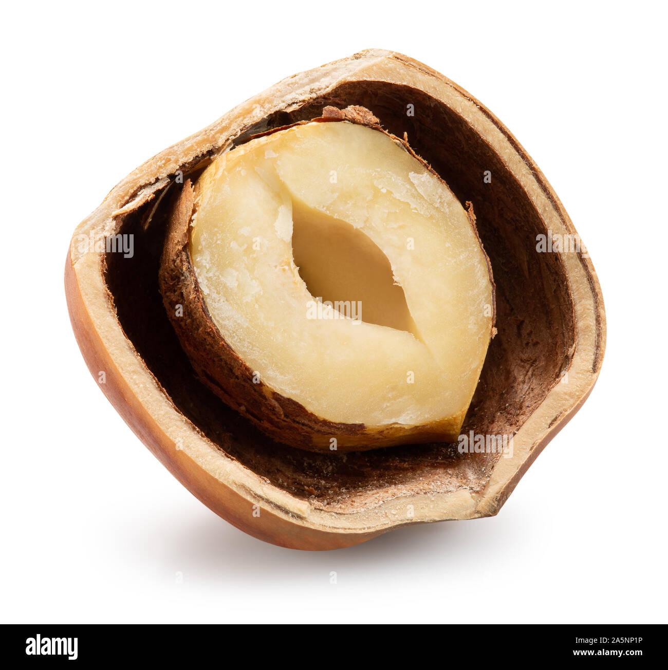 hazelnut in broken shell isolated on a white background Stock Photo - Alamy