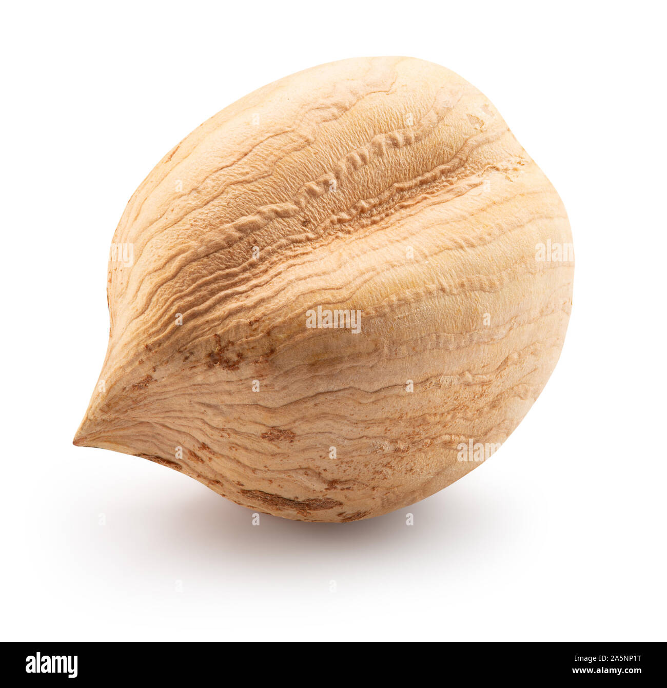 With and without shell hi-res stock photography and images - Alamy