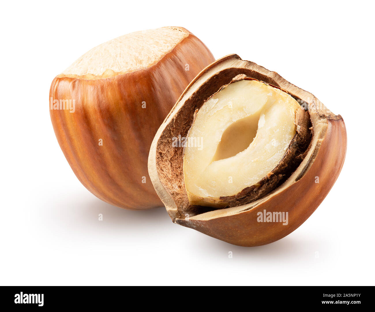 whole hazelnut with hazelnut in broken shell isolated on a white ...