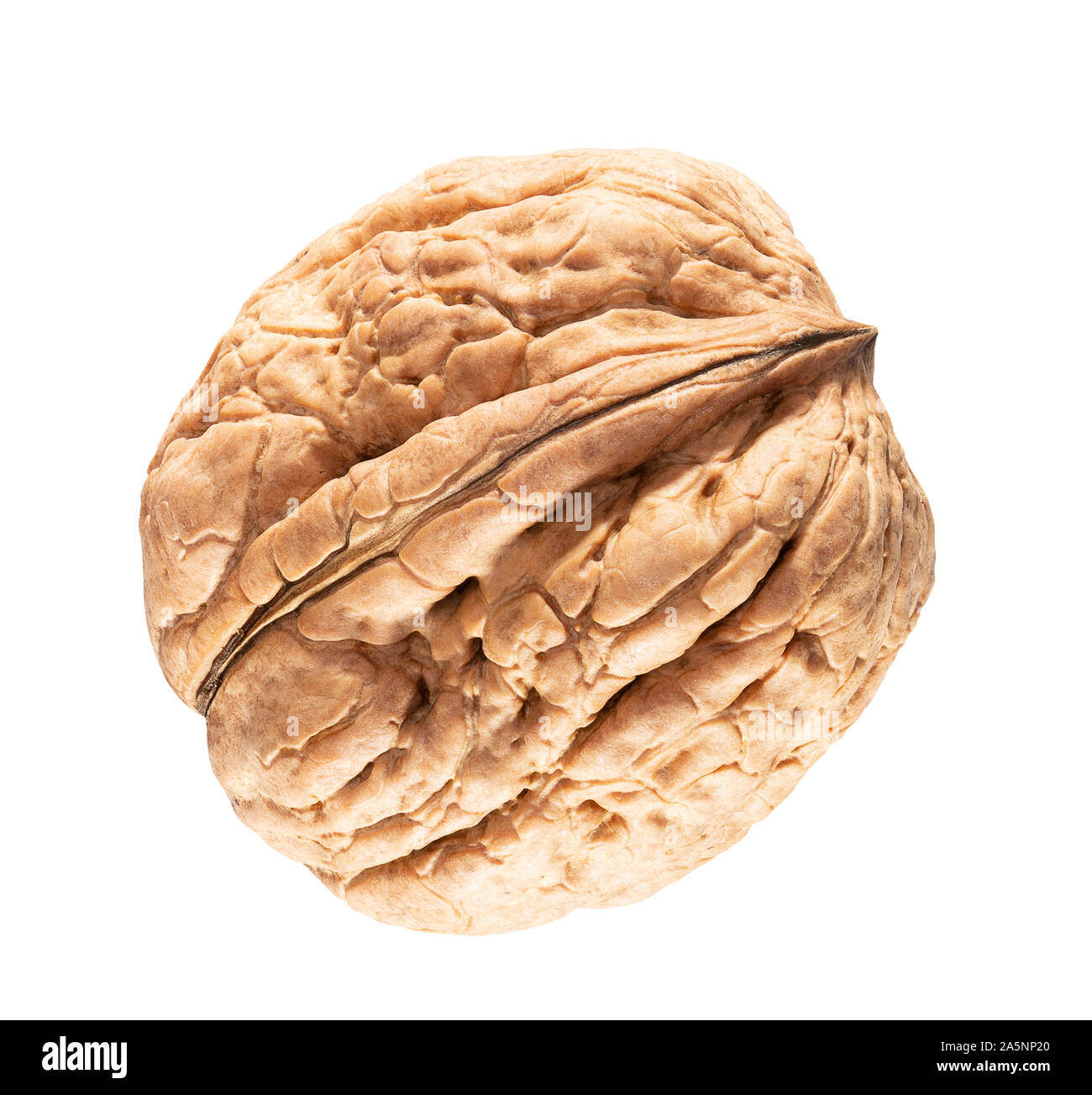 Walnut in shell hi-res stock photography and images - Alamy