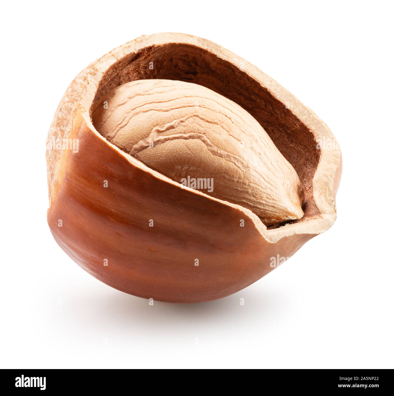 hazelnut in broken shell isolated on a white background Stock Photo - Alamy