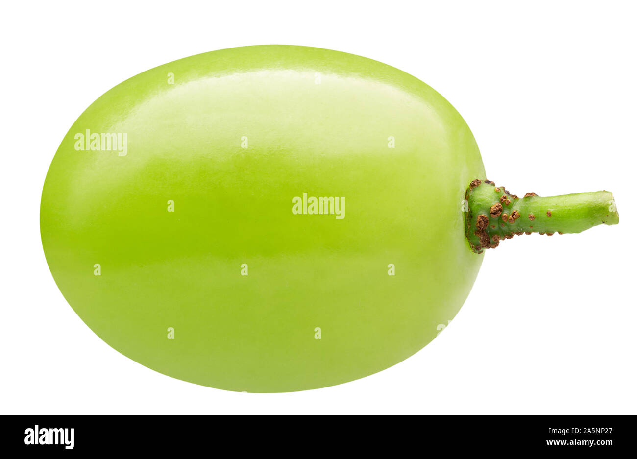 single green grape isolated on a white background Stock Photo - Alamy