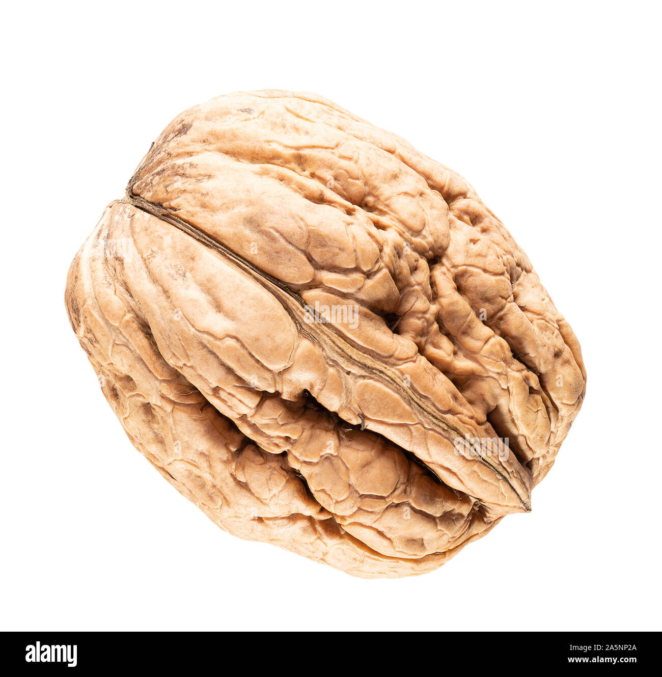 walnut in shell isolated on a white background Stock Photo - Alamy