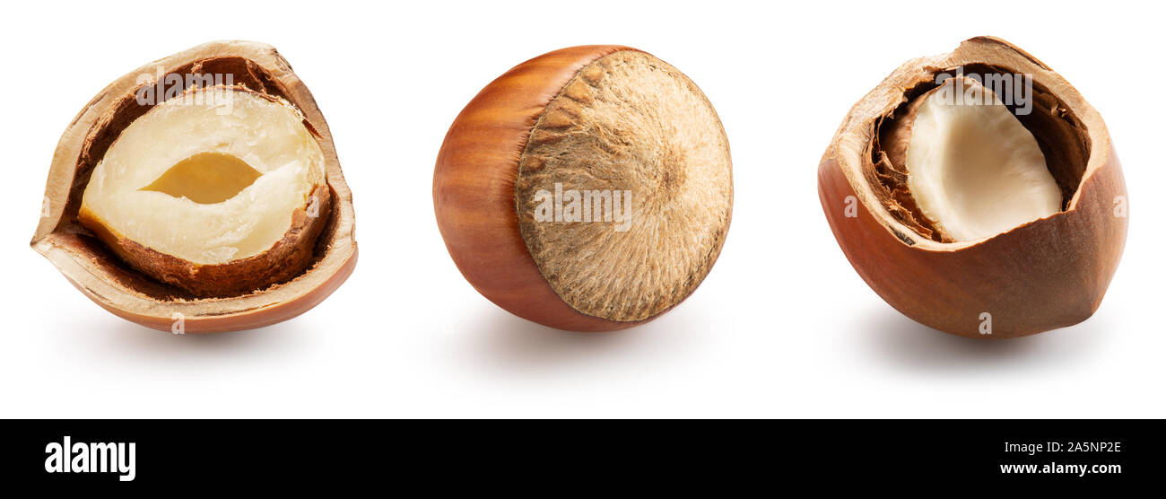 collection of hazelnuts in shell isolated on a white background Stock ...