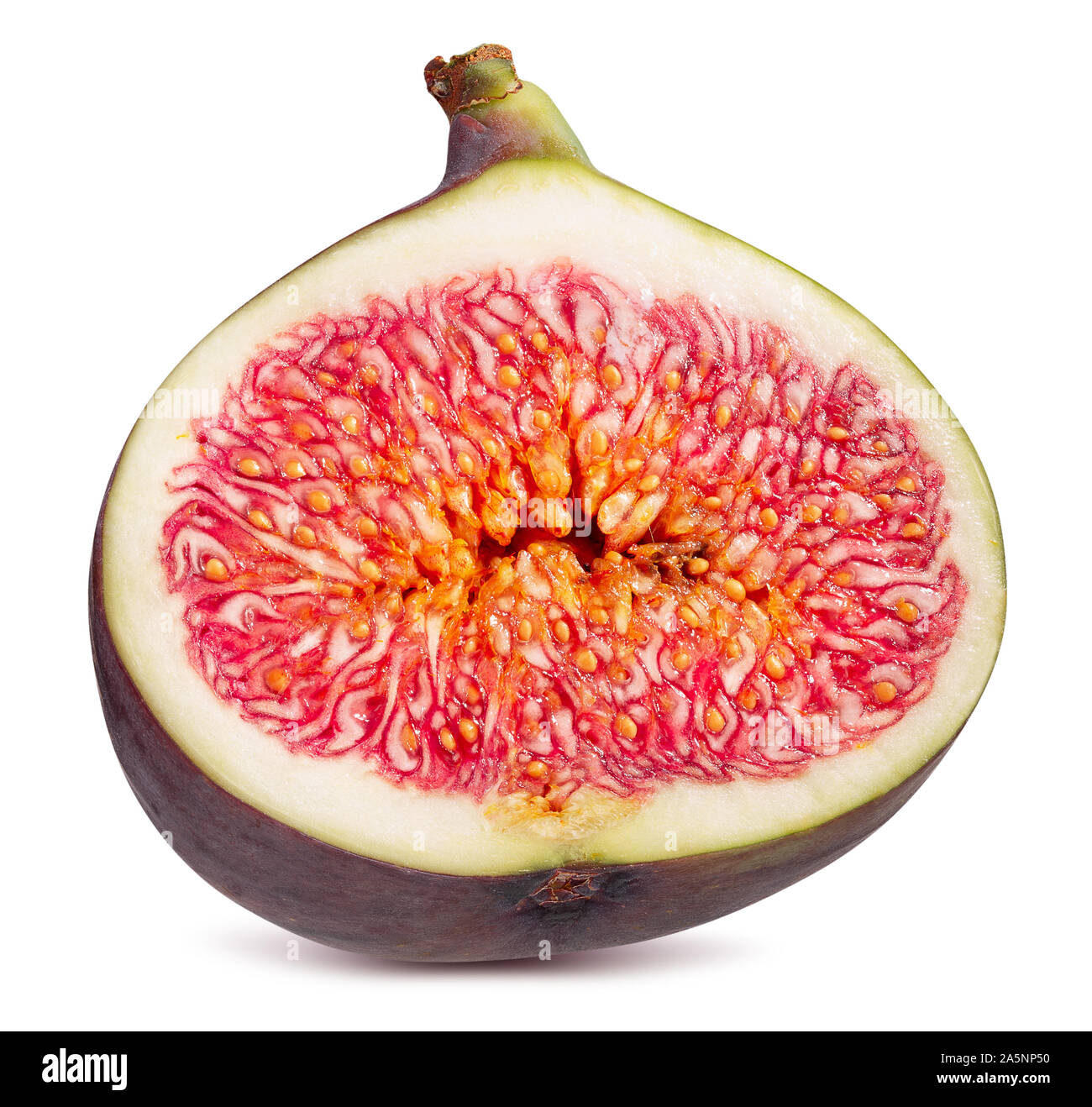 half of fig isolated on a white background Stock Photo - Alamy