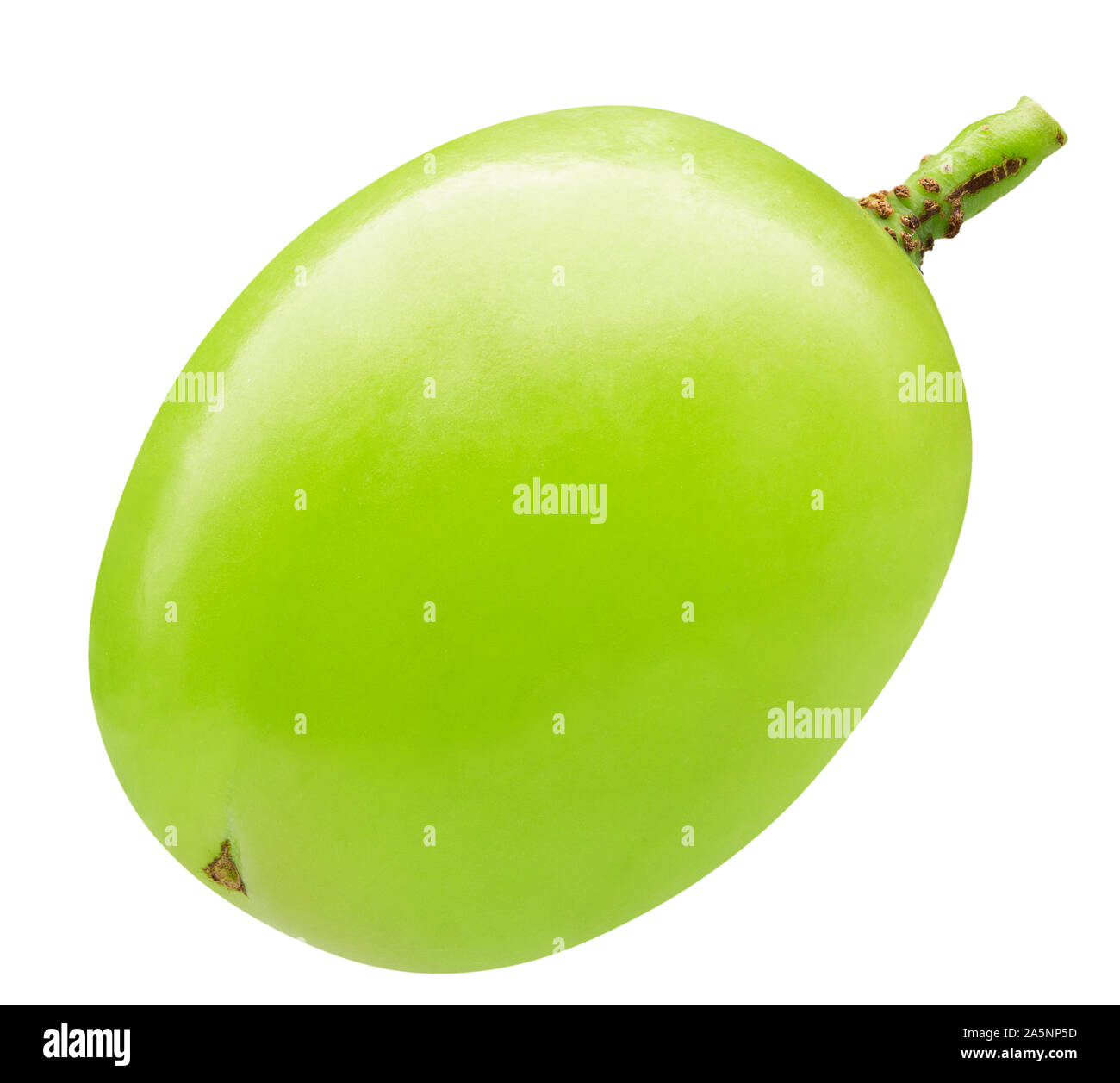 single green grape isolated on a white background Stock Photo - Alamy
