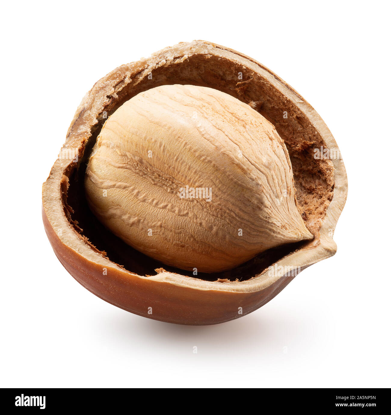 hazelnut in broken shell isolated on a white background Stock Photo - Alamy