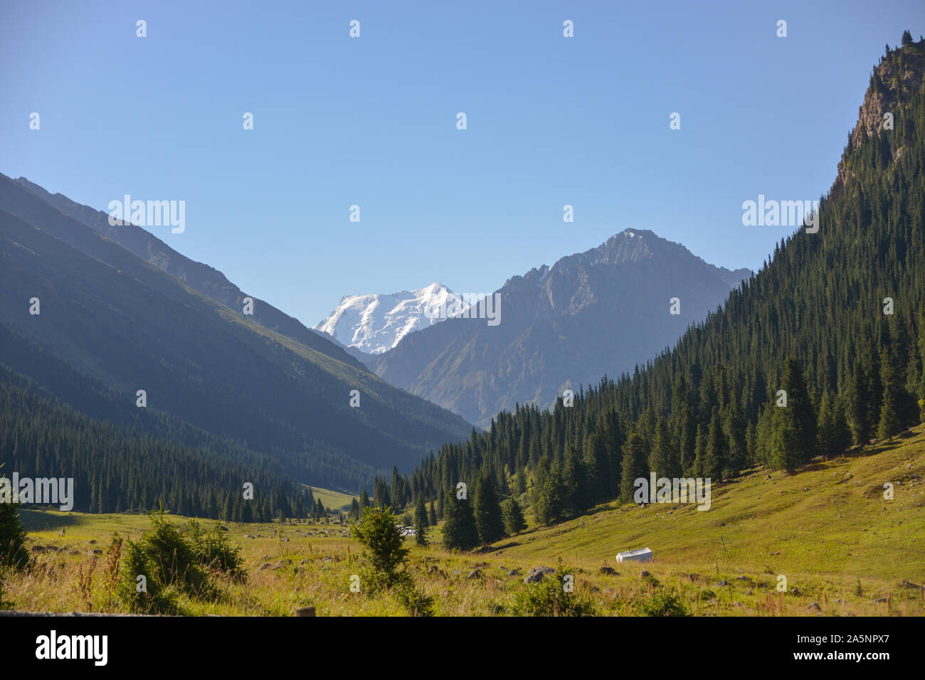 Beautiful ravine and mountains forest Stock Photo - Alamy