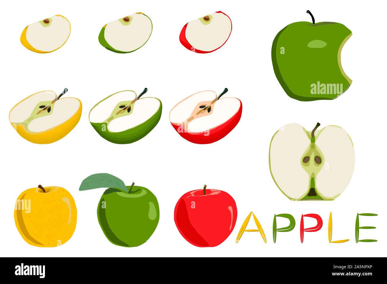 Illustration on theme big set different types round apples, harvest ...