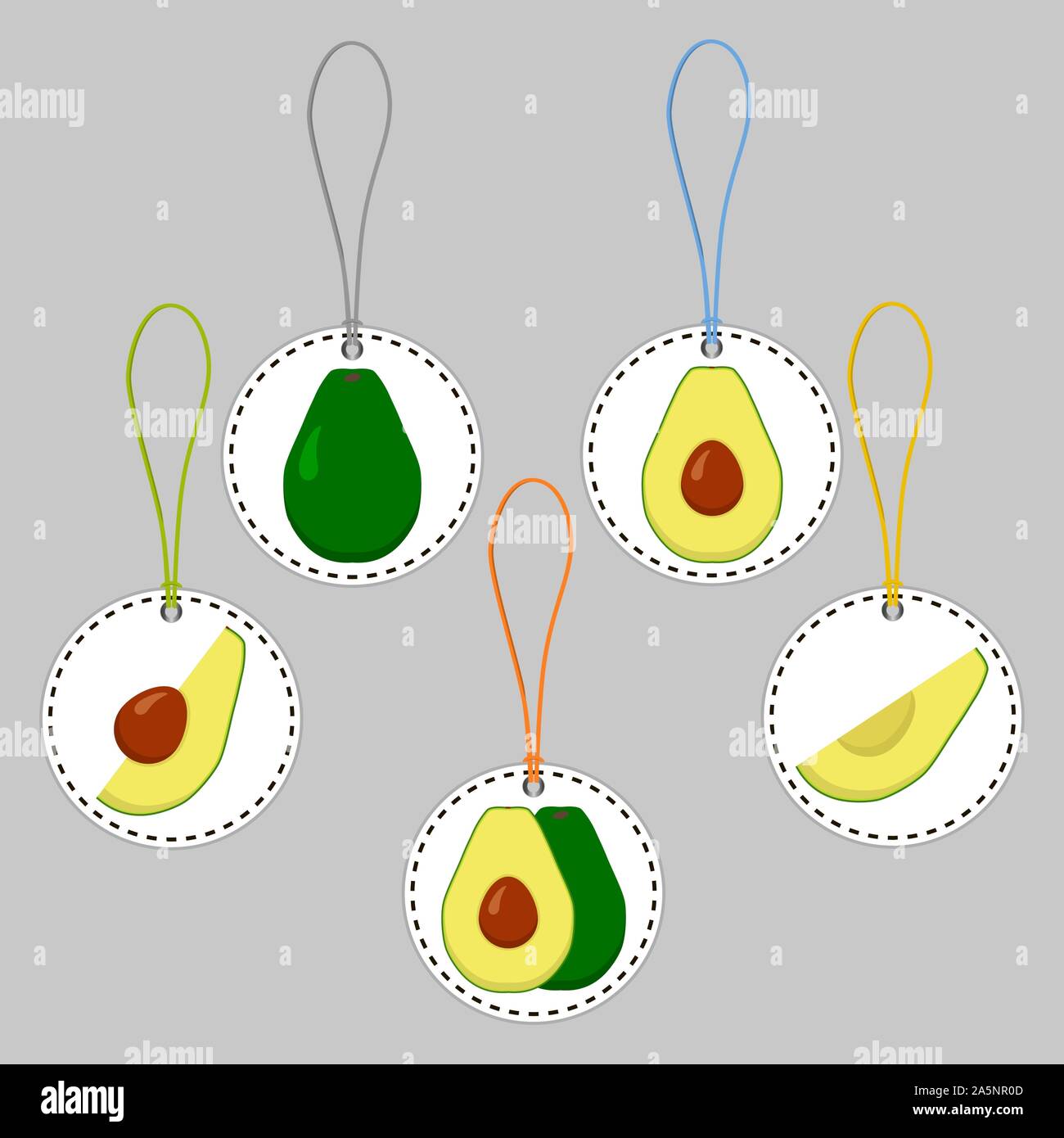 Illustration on theme big set different types round avocado, harvest ...