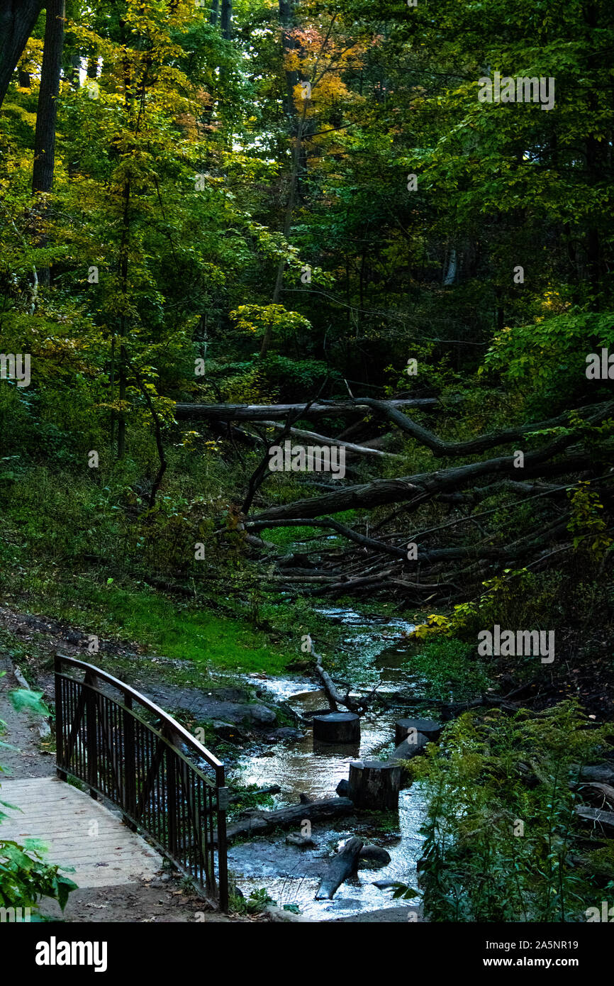 Quiet stream in a ravine in Toronto Stock Photo - Alamy
