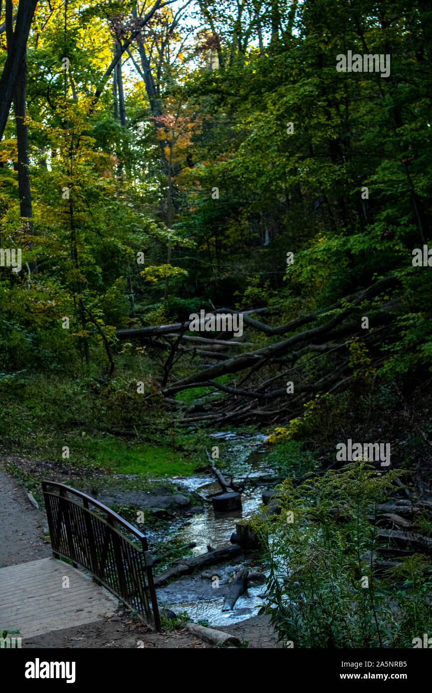 Ravine toronto hi-res stock photography and images - Alamy