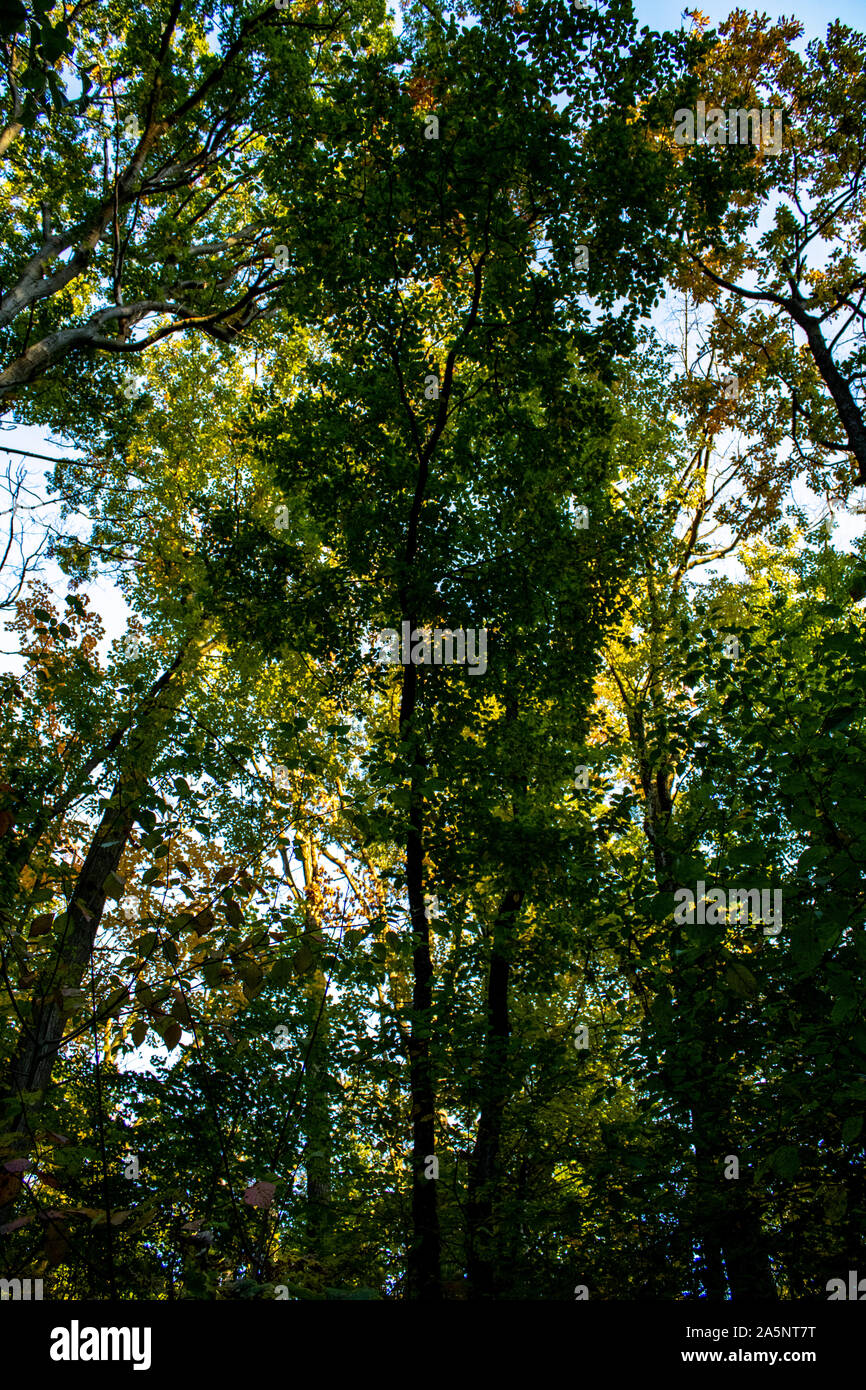 Changing colors hi-res stock photography and images - Alamy